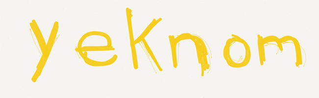 Writing Your Name Backwards Chickenmonkeydog